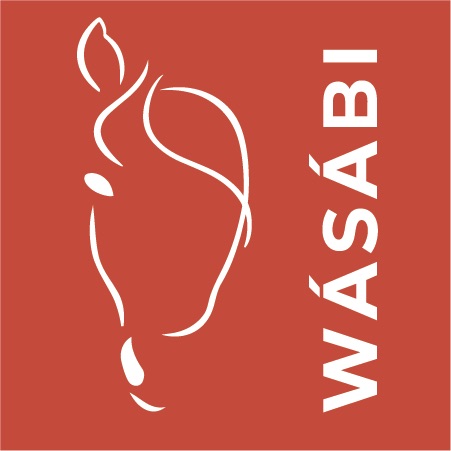 Our story - Wasabileadership
